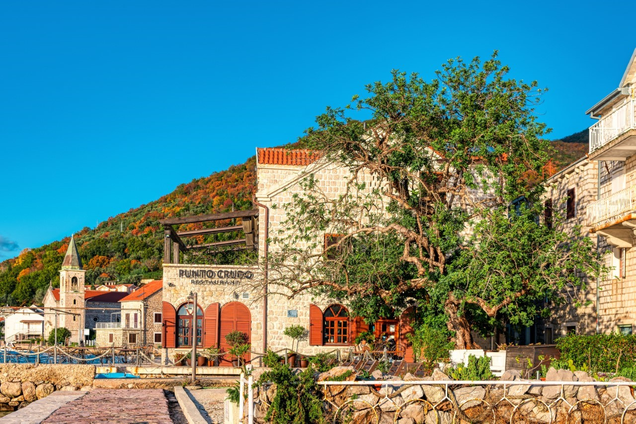 Zeleni Tivat - Ekološki i Kulturološki grad Boke Kotorske